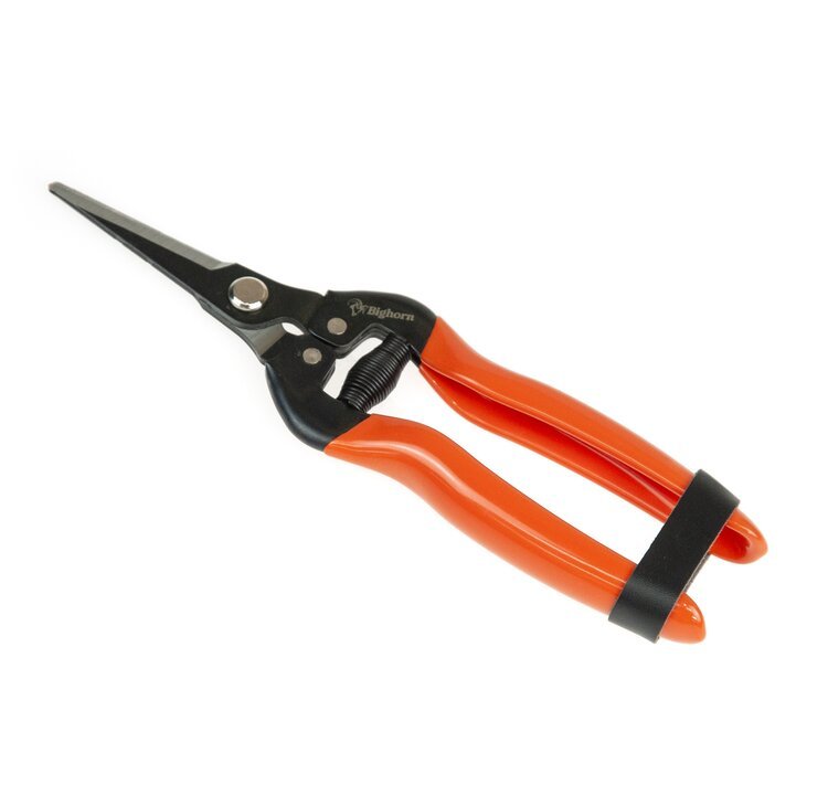Bighorn Long Blade Snips – Succulents Online